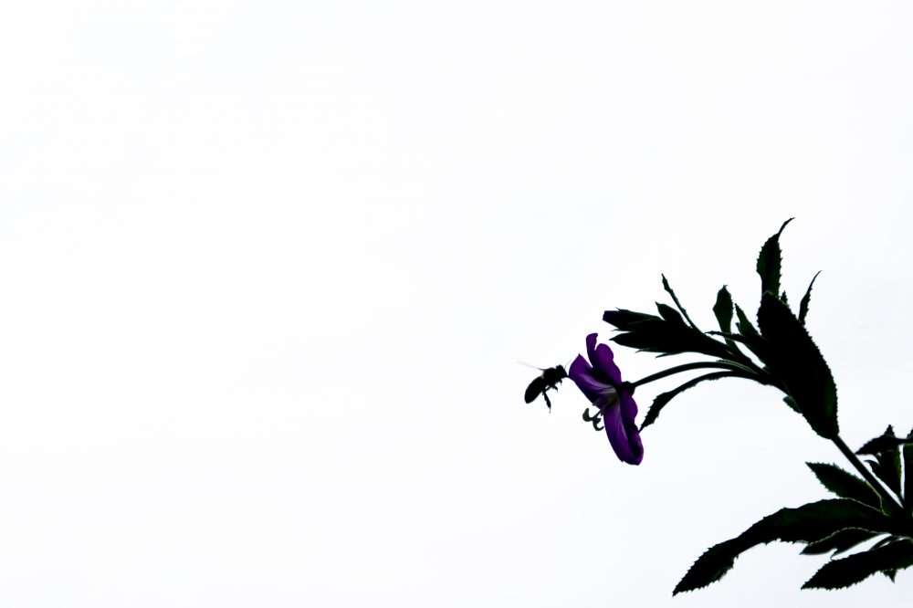 Doorbuiging berekenen: het hoe en waarom.